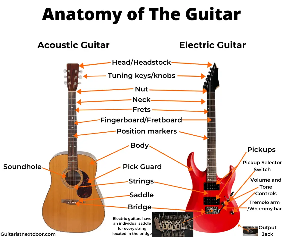 Guitar Action Explained - What's The Right Action?