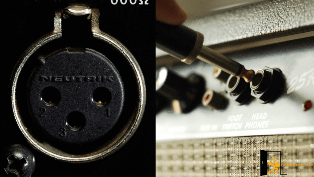 Master Collection of Guitar Amps With A Mic Input - Singers Dream Amps