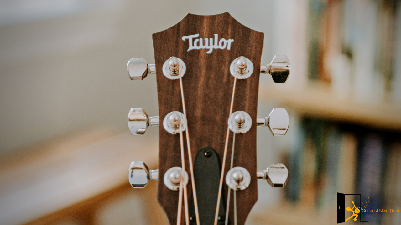 Are Taylor Guitars Good For Beginners?