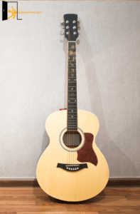 Acoustic Guitar Body Types & Styles - Explained