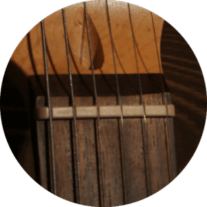 Anatomy of Electric Guitar - Parts Explained